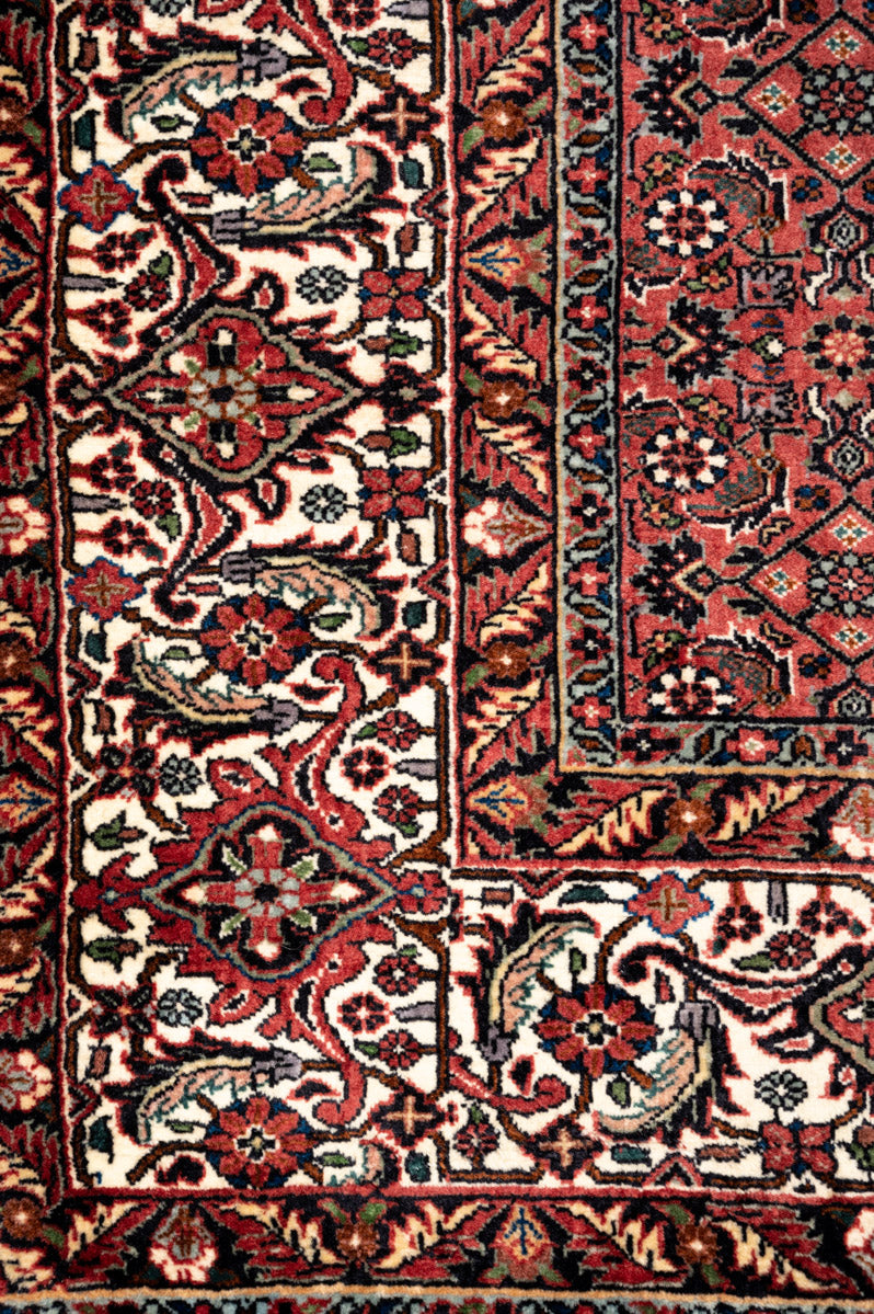KAVAL Bidjar 390x198cm – Lilla Rugs